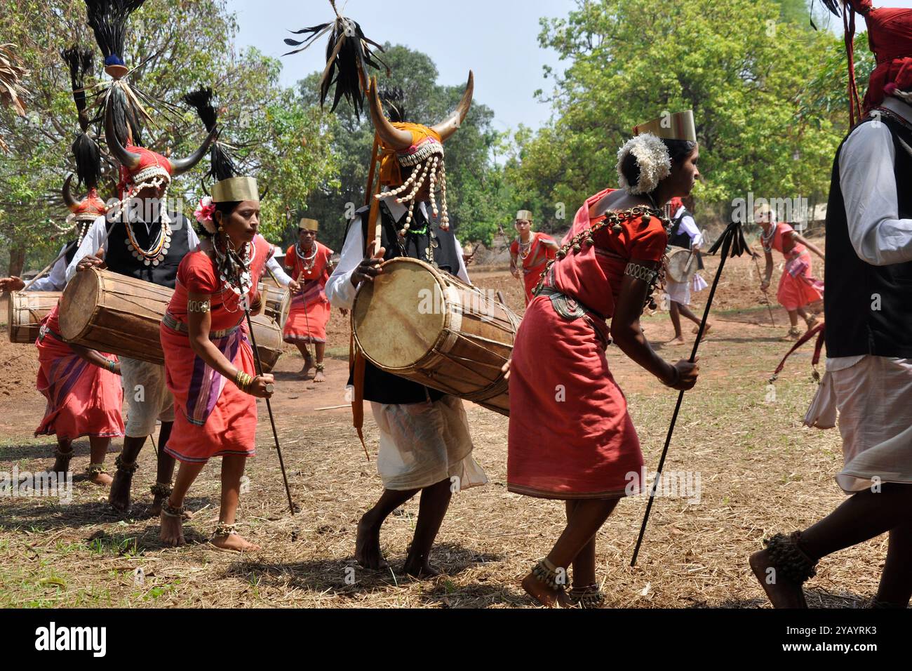 India, Orissa, Chhattisgarh, Muria area, Bison Horn tribe Stock Photo ...