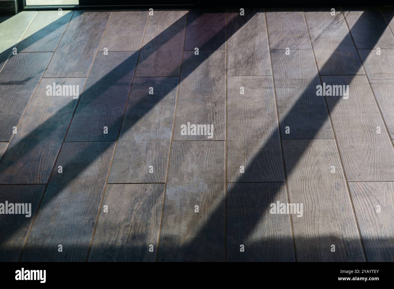 Golden rays pour through the window, casting elongated shadows on the ...