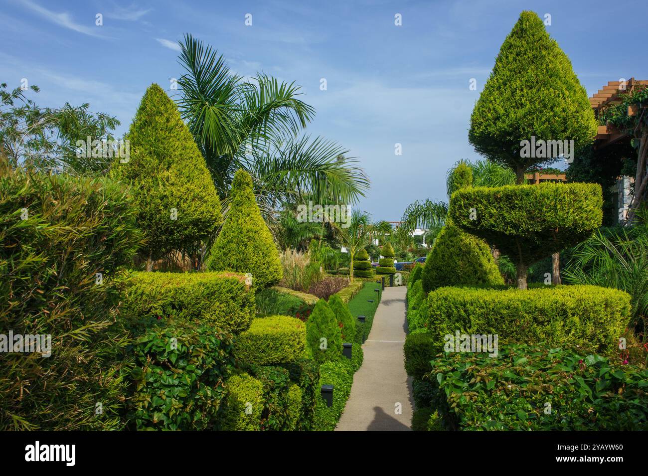 A beautiful garden filled with meticulously shaped topiary trees ...