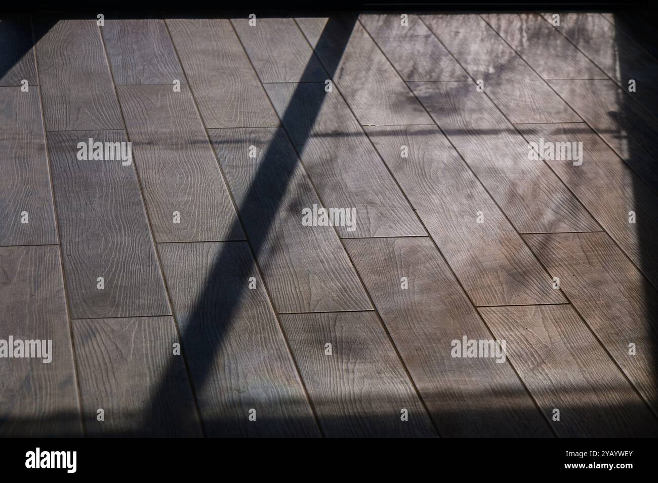 Warm winter light filters through a window, creating a beautiful ...