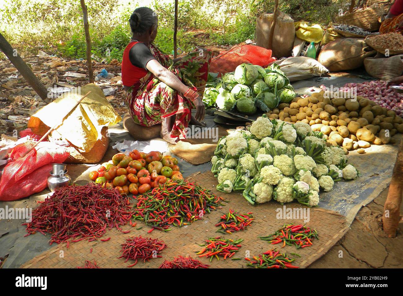 Vegetable market, Rayagada village, Orissa, India Stock Photo - Alamy