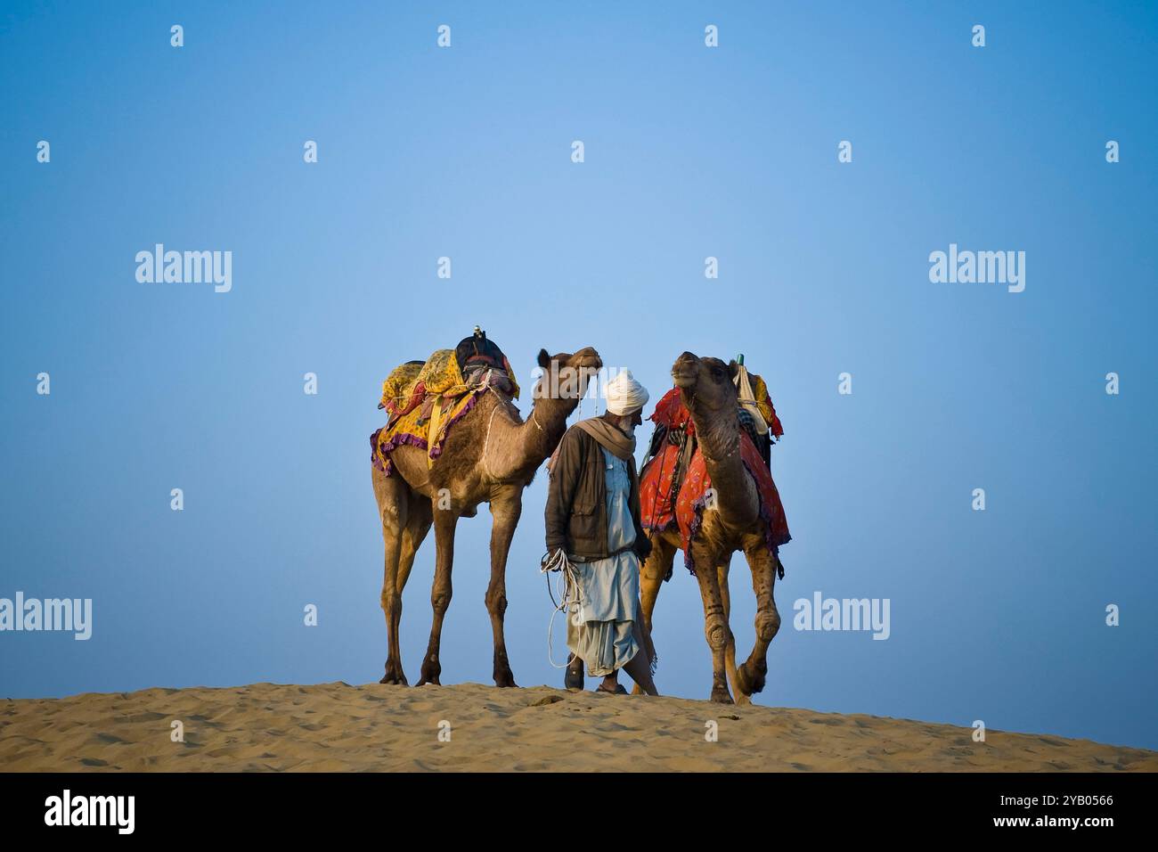 India, Rajasthan, Jaisalmer, Camel Ride Stock Photo - Alamy