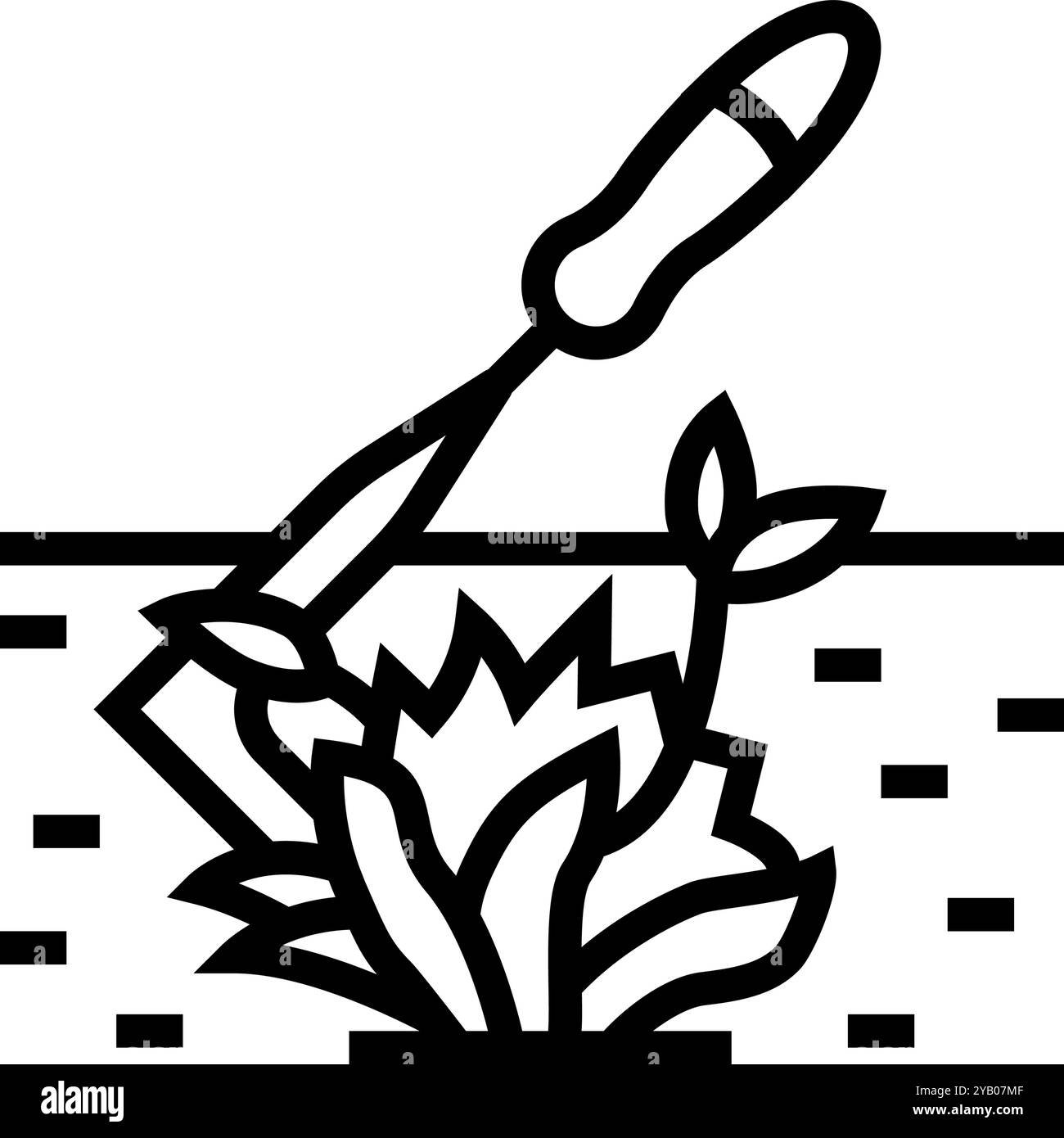 Weeding lawn Black and White Stock Photos & Images - Alamy