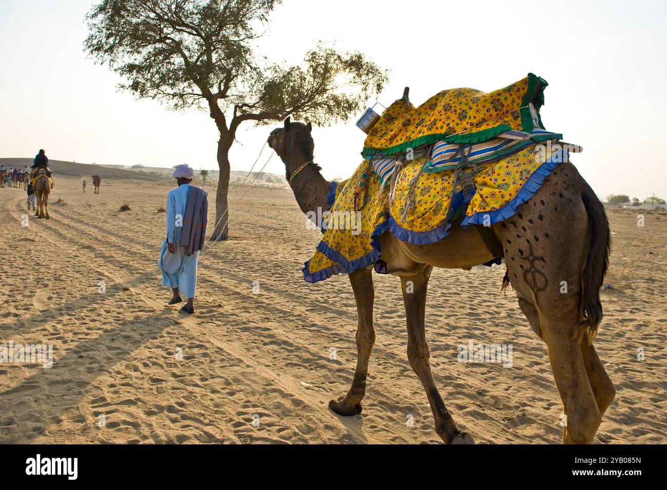 India, Rajasthan, Jaisalmer, Camel Ride Stock Photo - Alamy