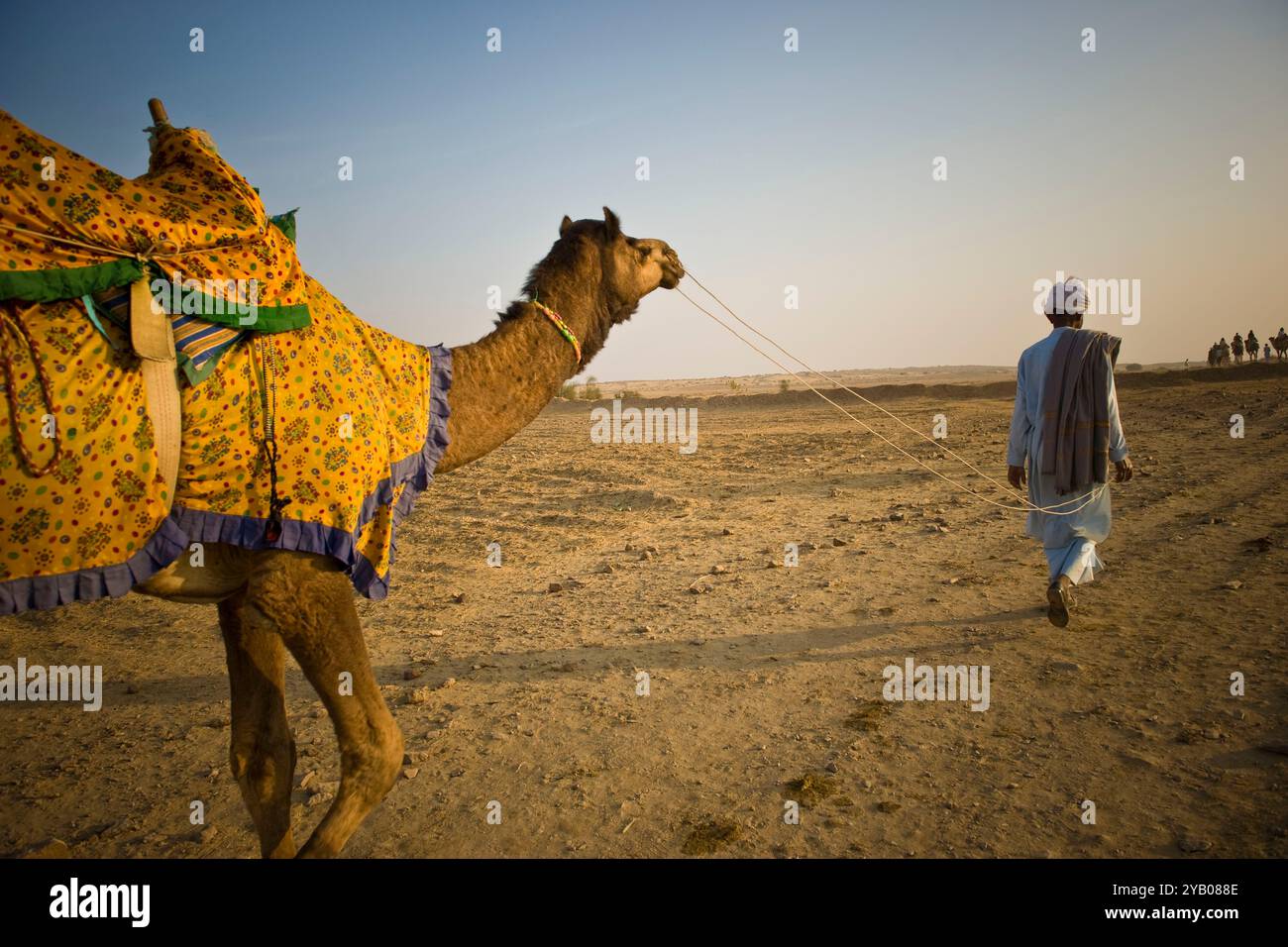 India, Rajasthan, Jaisalmer, Camel Ride Stock Photo - Alamy