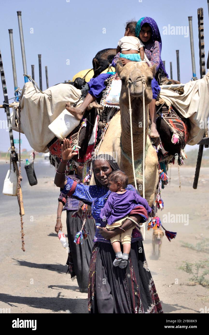 India, Gujarat, Dasada, Rabari shepherd Stock Photo - Alamy