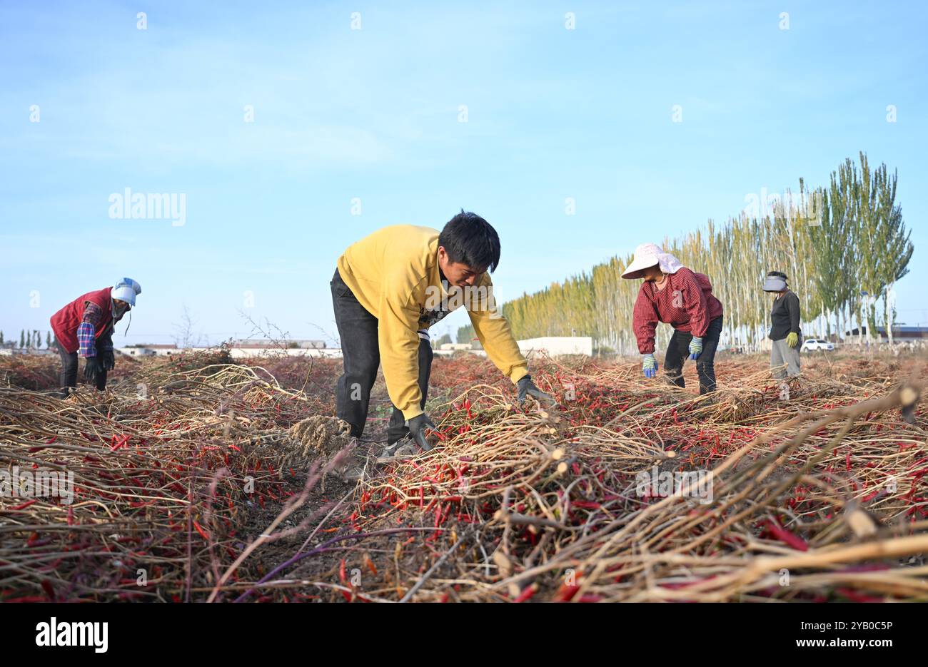 Bayannur chinas inner mongolia autonomous hi-res stock photography and ...