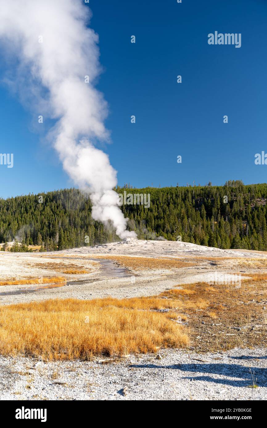 Steam emitting from Old Faithful on a cold fall day in Yellowstone ...