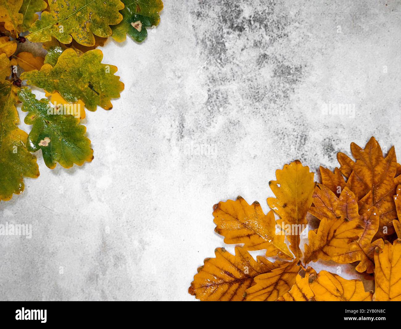 Autumn corner marble background with orange, brown, and yellow autumn ...