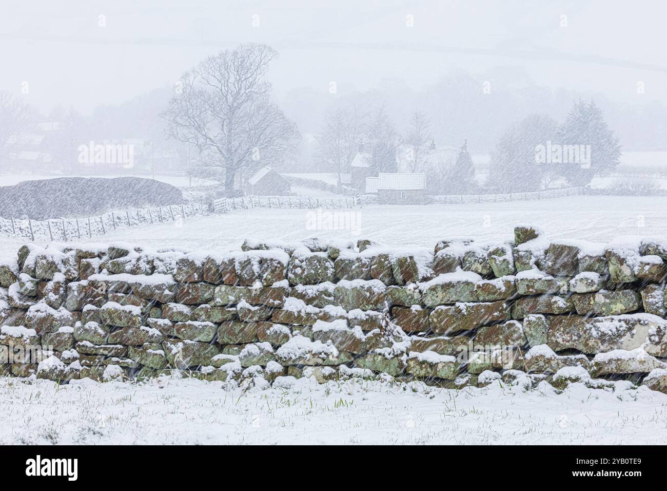 Snow in Farndale The North Yorkshire Moors UK Stock Photo - Alamy