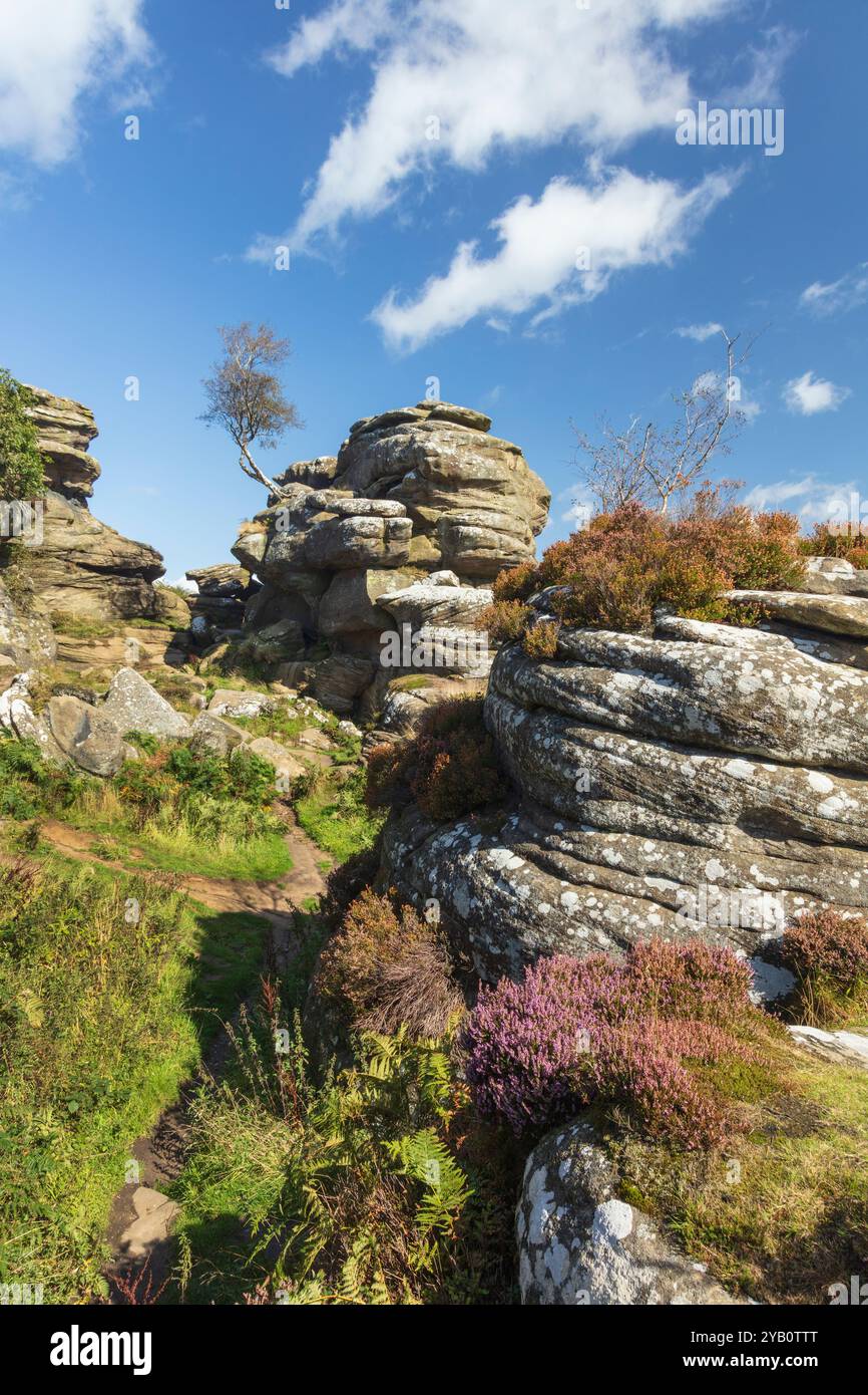 Brimham Rocks in Autumn sunlight, near Pately bridge, Nidderdale, The ...