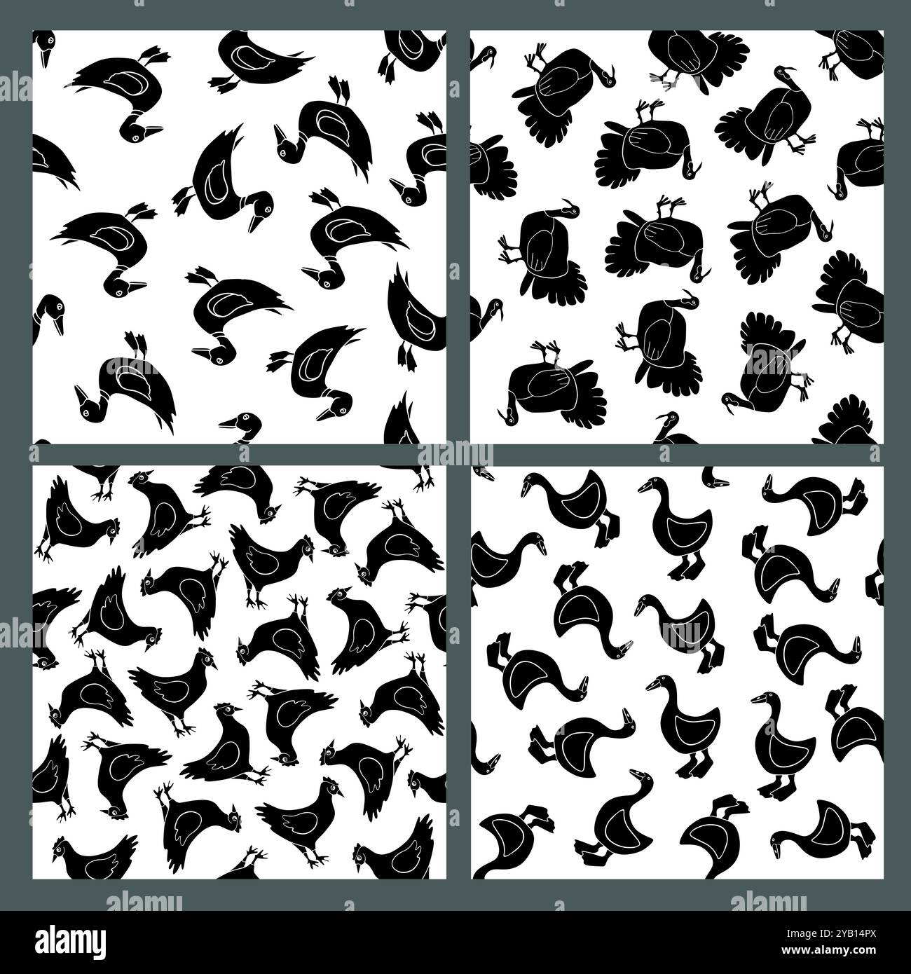 Birds visual appeal hi-res stock photography and images - Alamy