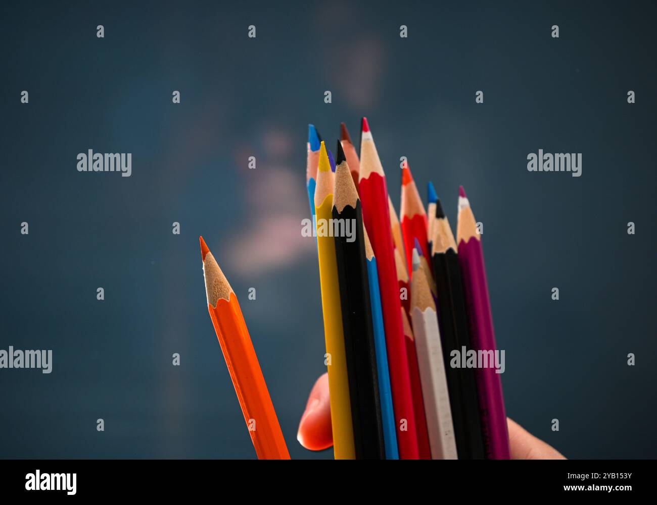 Bunch of colored pencils standing upright is showing its sharpened ...