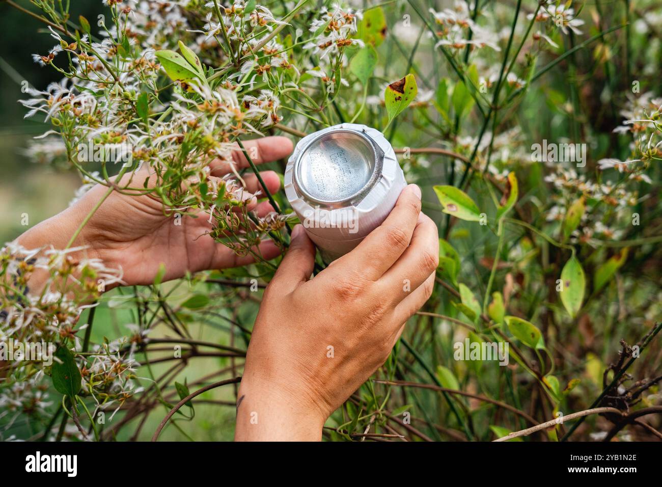 homemade pinhole camera or stenopeic camera, made with a can and ...