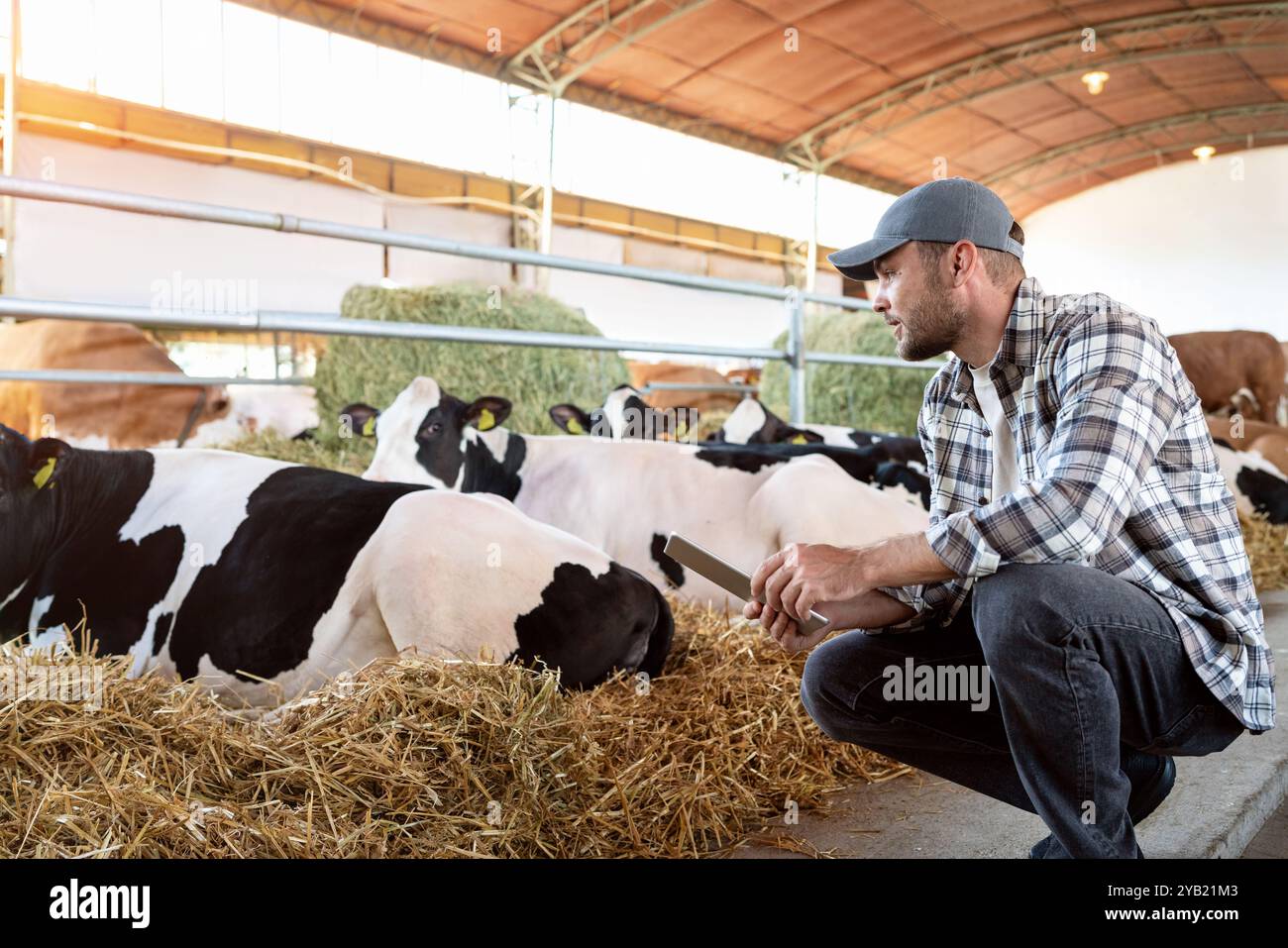 Agricultural methane emissions. Tackling livestock’s carbon footprint ...