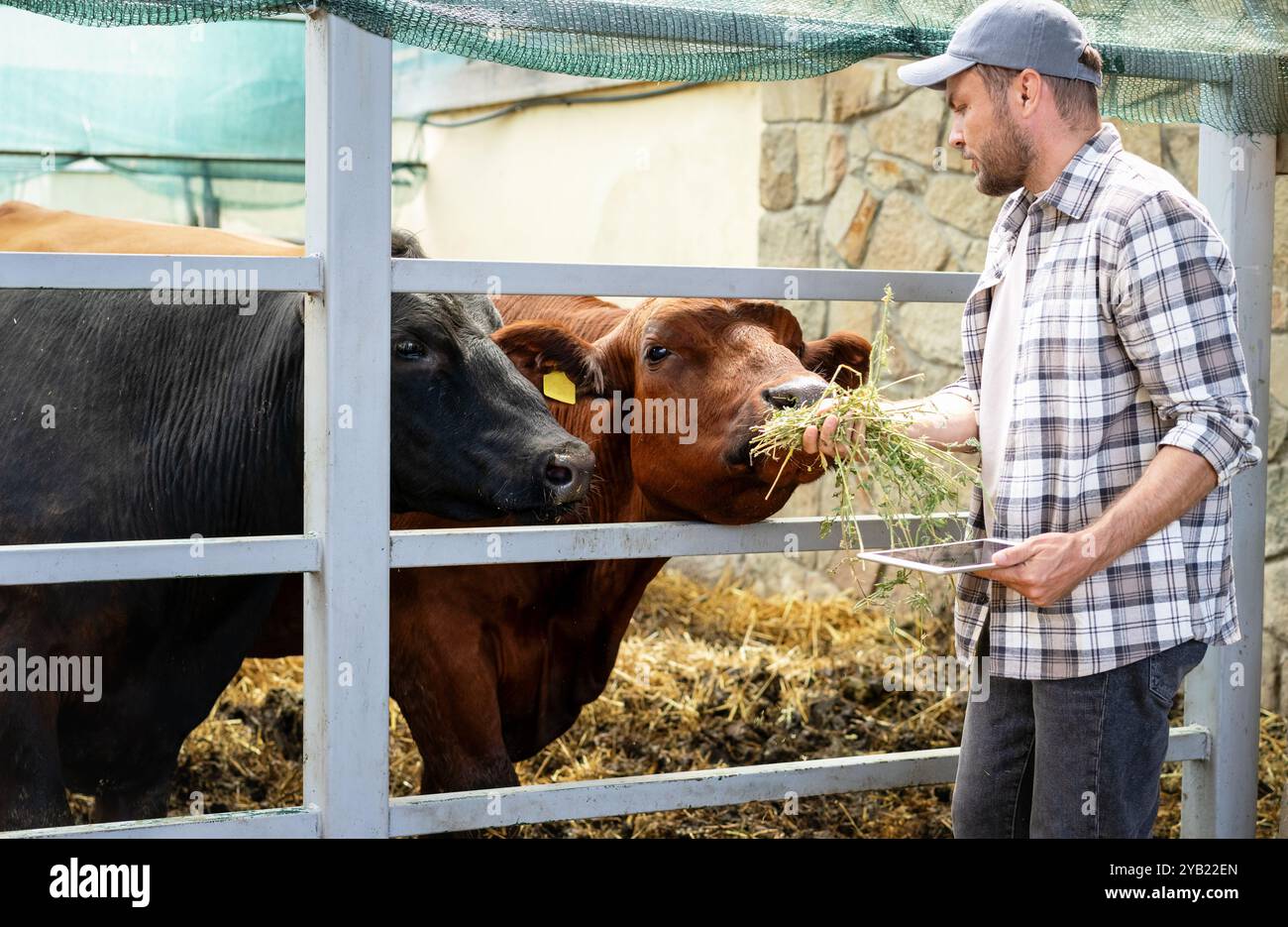 Tackling Livestock’s Carbon Footprint. Agricultural methane emissions ...