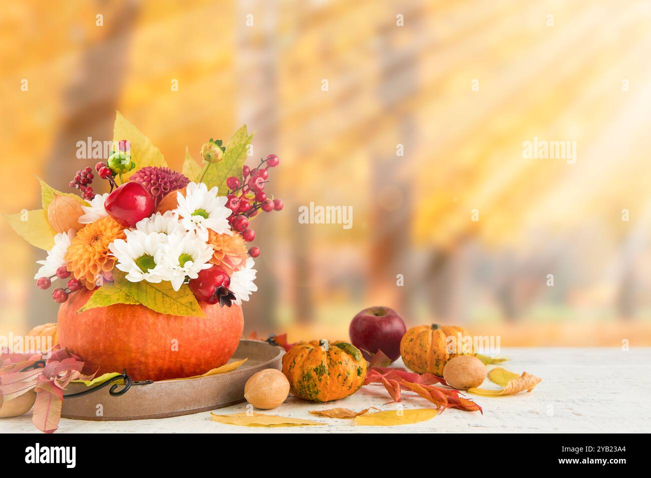 Thanksgiving pumpkin on counter hi-res stock photography and images - Alamy