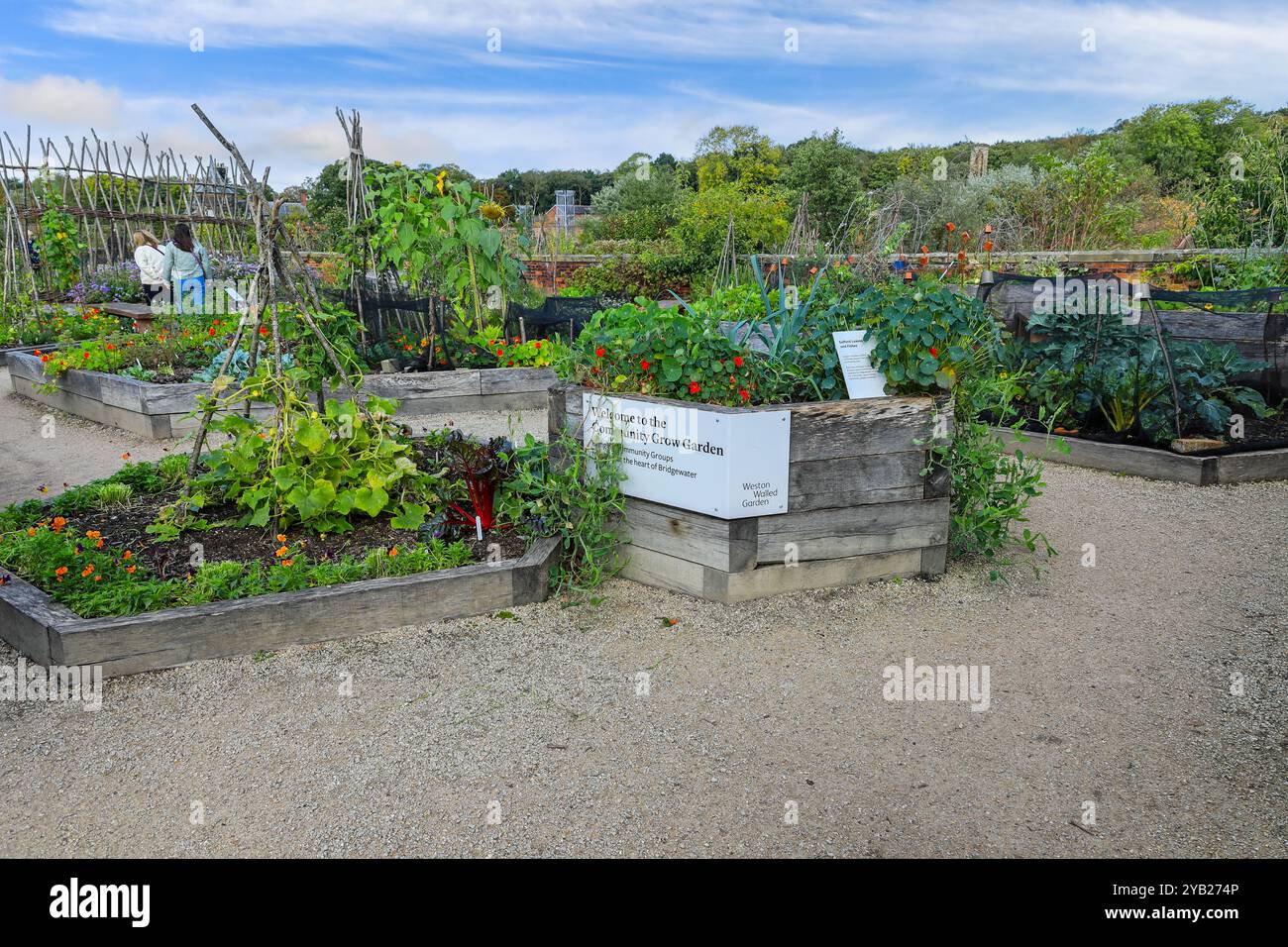 The Community Grow Garden in the Weston Walled Garden, RHS Garden ...