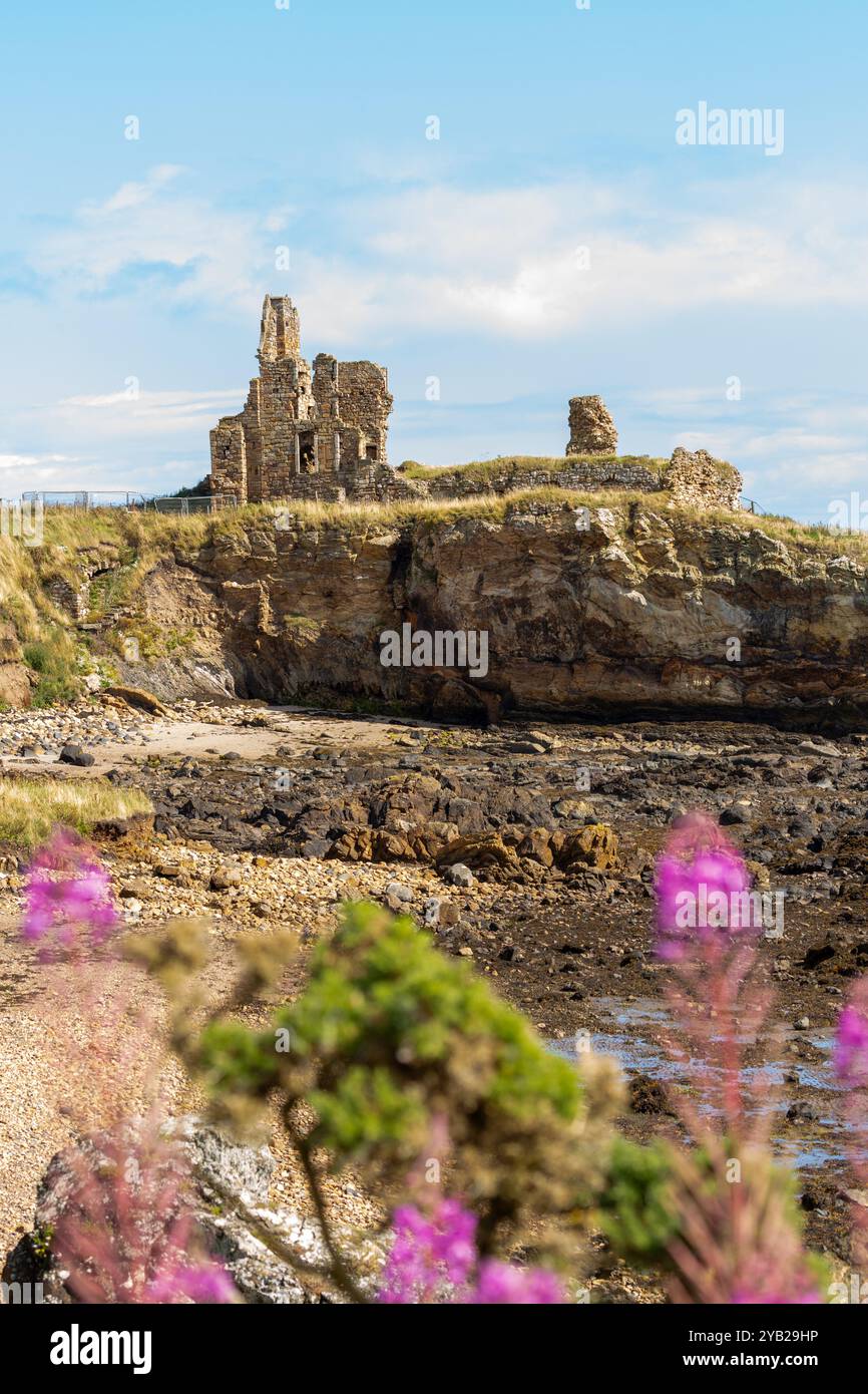 The ruined remains of Newark Castle on the Fife Coastal Path near St ...