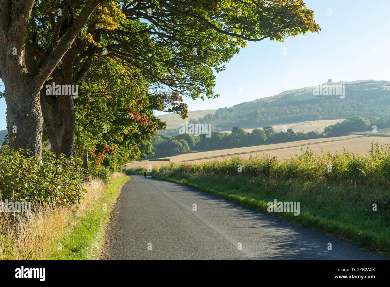 Country road walks hi-res stock photography and images - Alamy