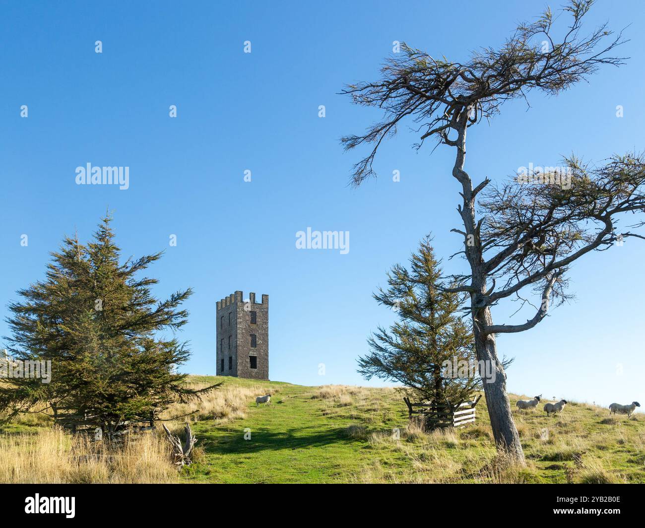 Angus folly hi-res stock photography and images - Alamy