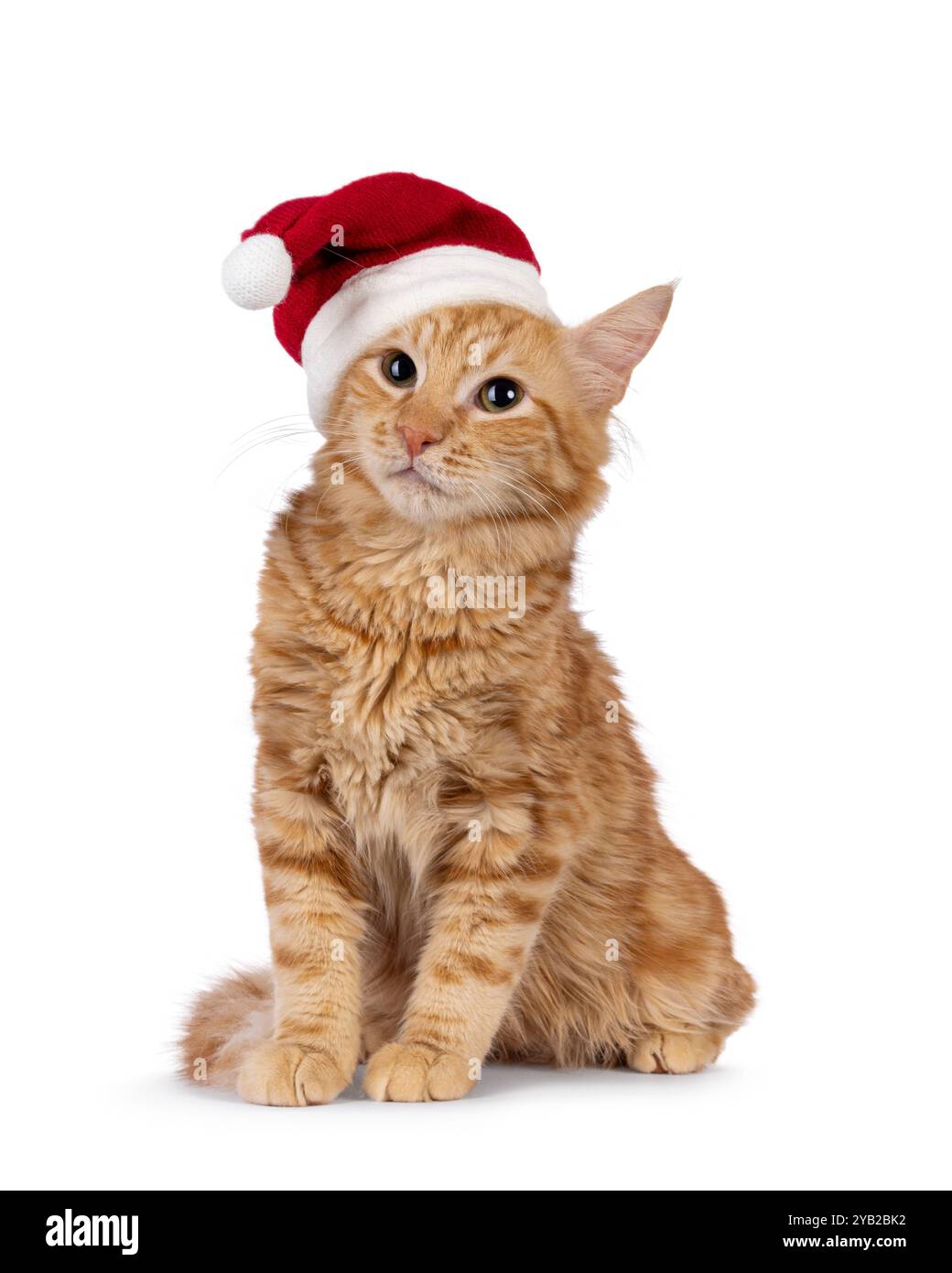 Front facing hat Cut Out Stock Images & Pictures - Alamy