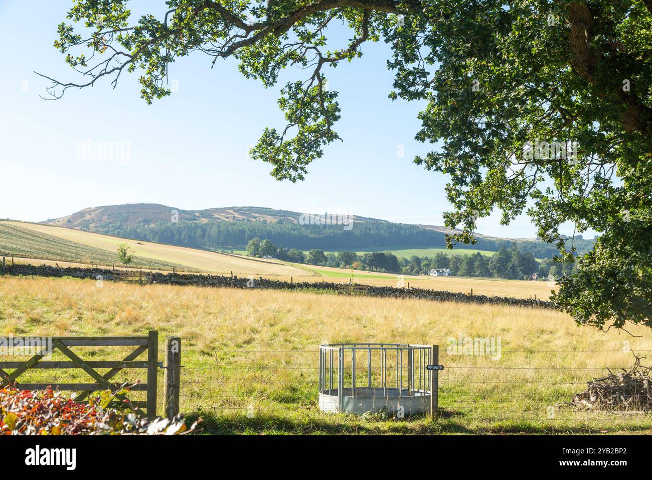 Angus scotland landscape hi-res stock photography and images - Alamy