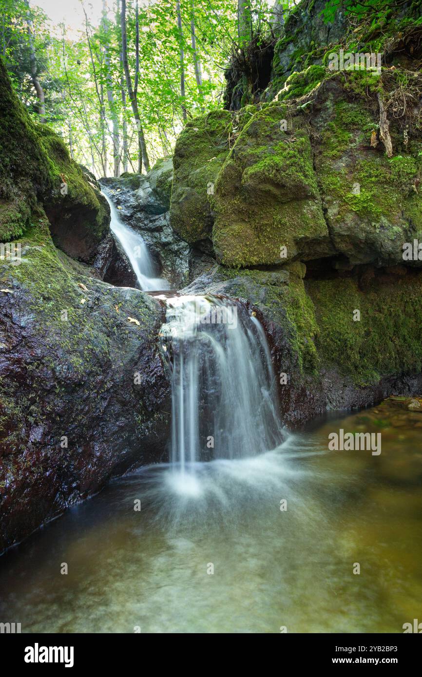 The Edderty Burn near Newtyle, Angus, Scotland Stock Photo - Alamy