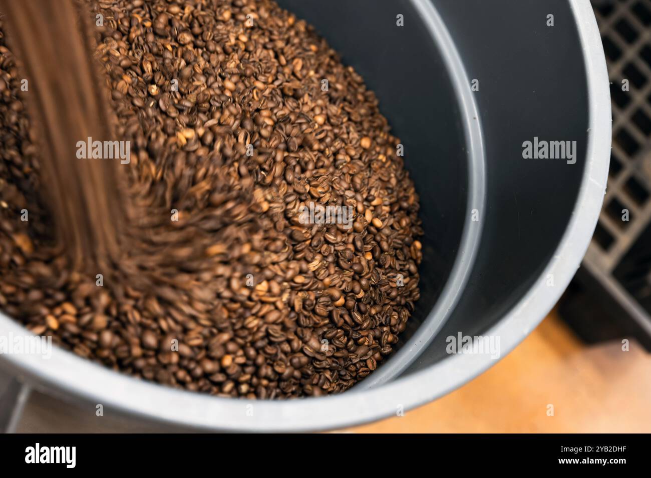 Roasted coffee beans just after roasting are poured into a receiving ...