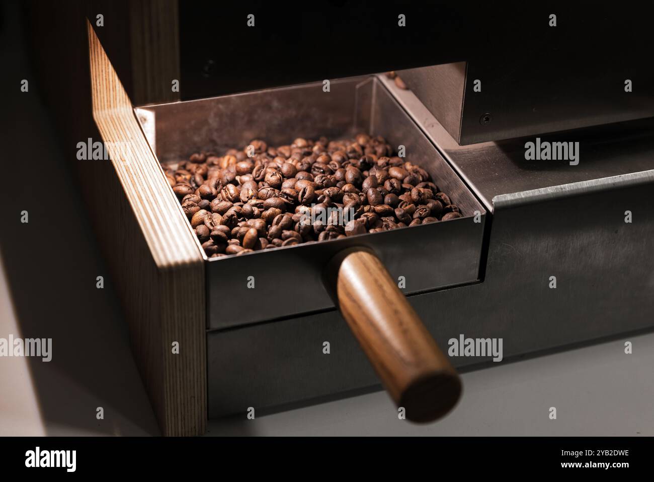 A portion of roasted arabica coffee beans just after roasting, close-up ...