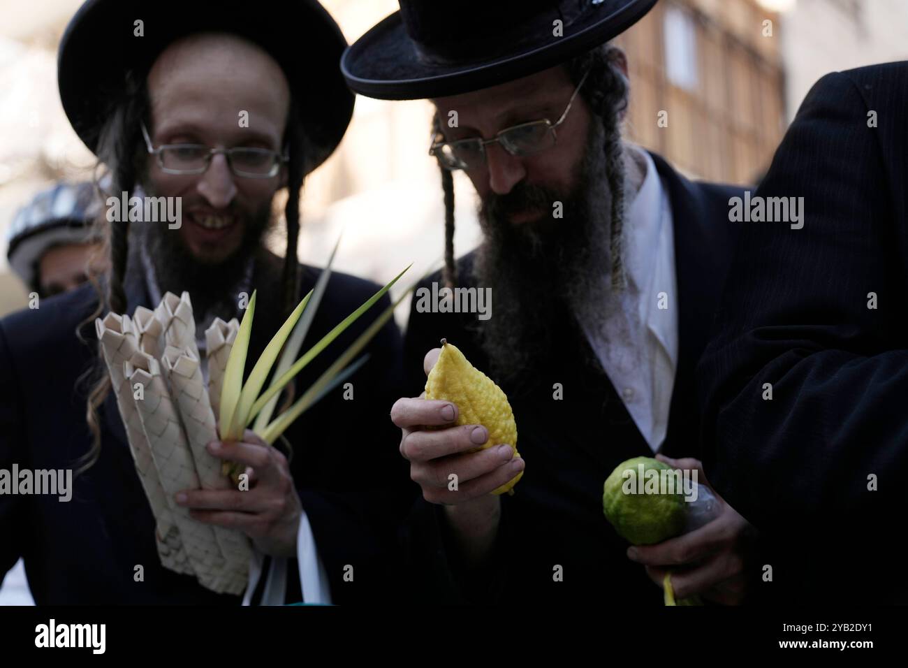 An Ultra-Orthodox Jewish man examines a citrus fruit, or etrog, one of ...