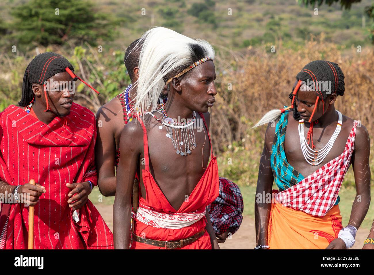 Masai men in traditional tribal costumes, Masai Mara, Africa Stock ...