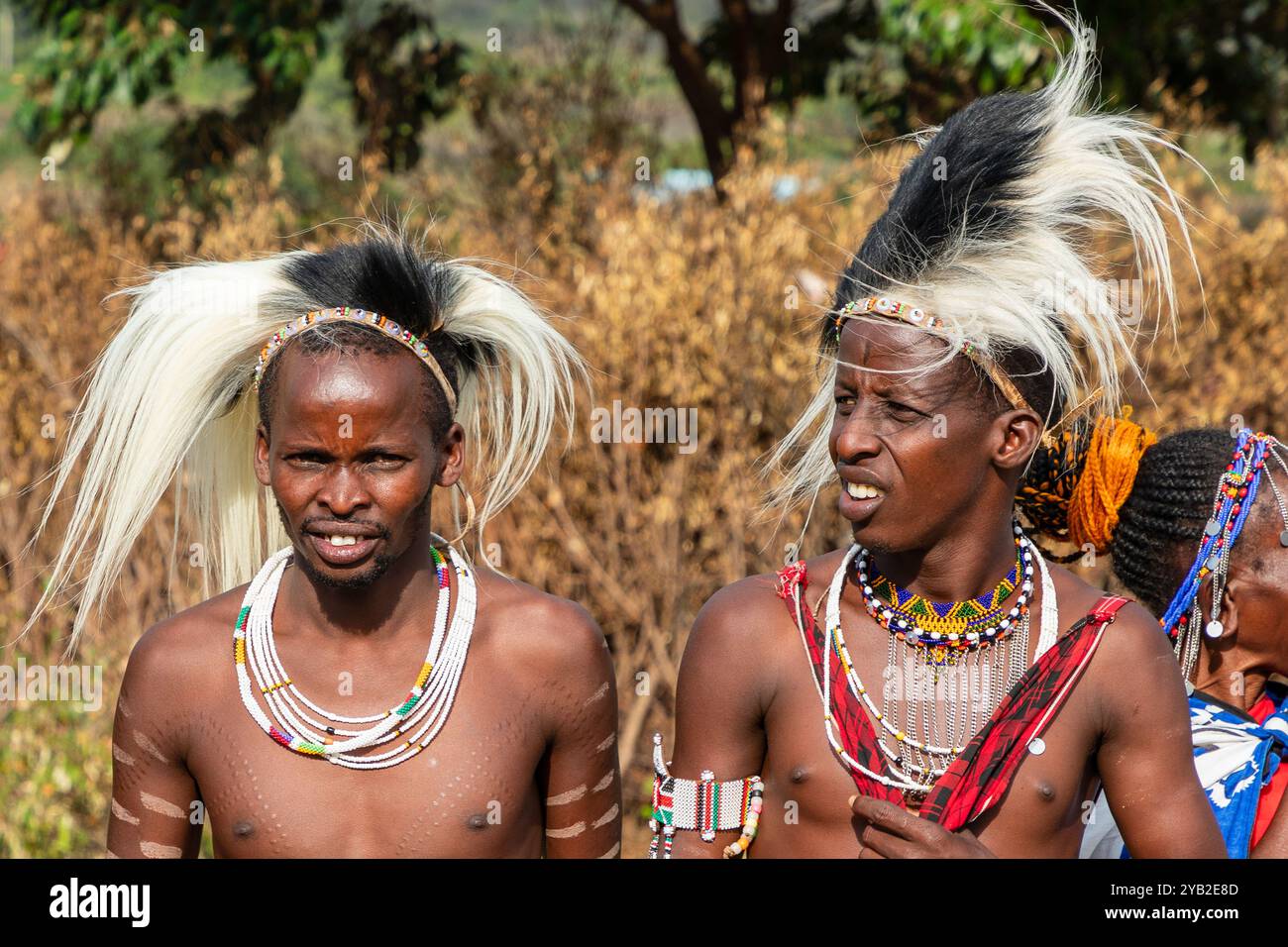 Masai men in traditional tribal costumes, Masai Mara, Africa Stock ...