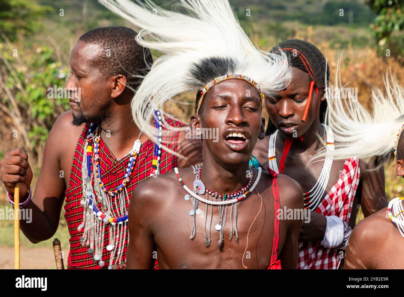 Masai men in traditional tribal costumes, Masai Mara, Africa Stock ...