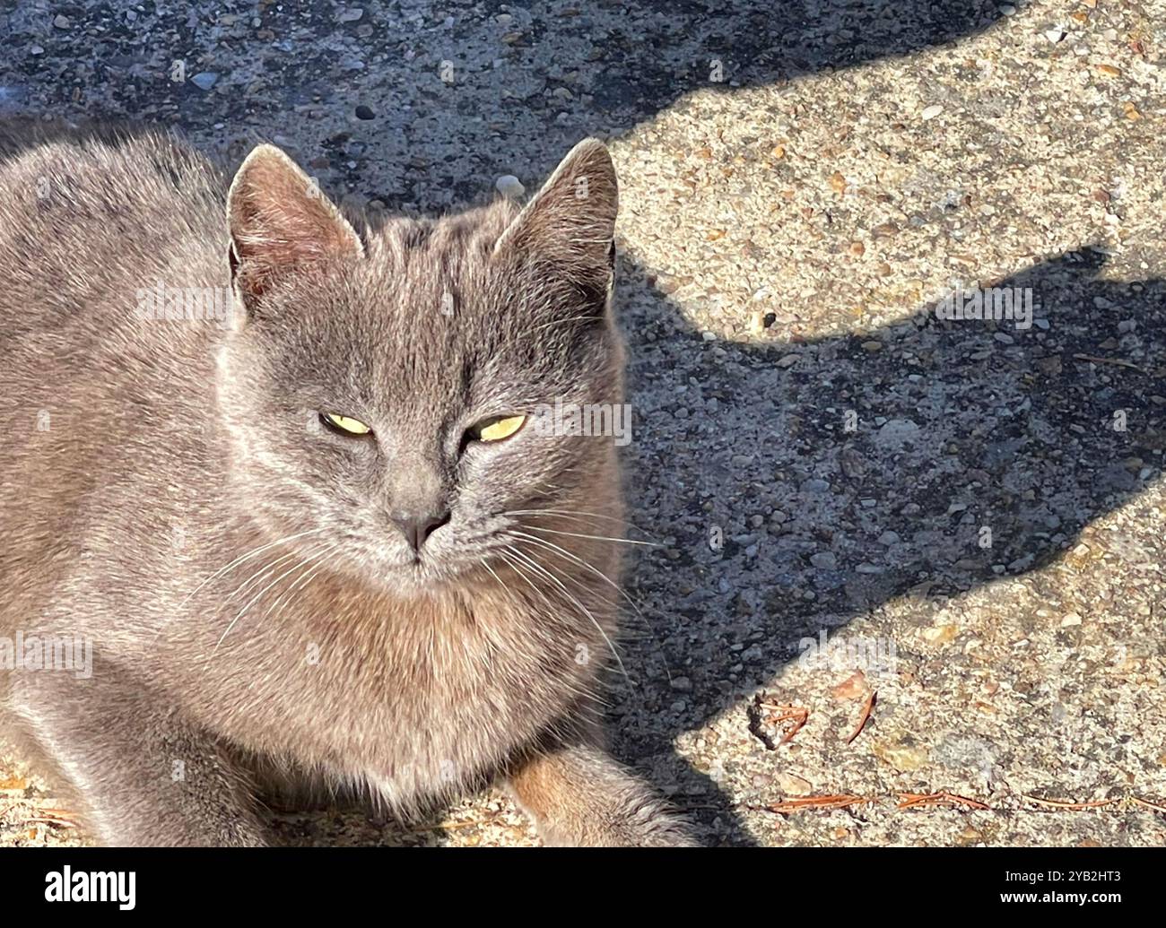 Space gray colour hi-res stock photography and images - Alamy