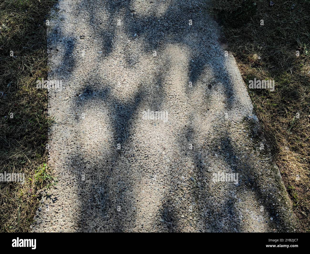 Tree Branch Shadows on Concrete Floor: Contrast of Nature and Urban ...