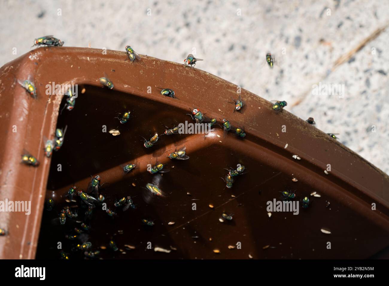 Green bin compost hi-res stock photography and images - Alamy