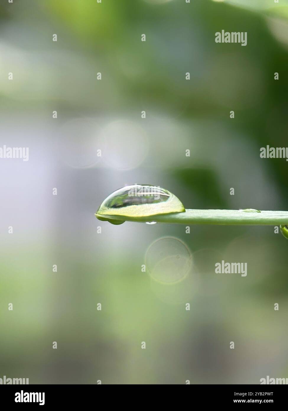 Slow motion shot droplet falling hi-res stock photography and images ...