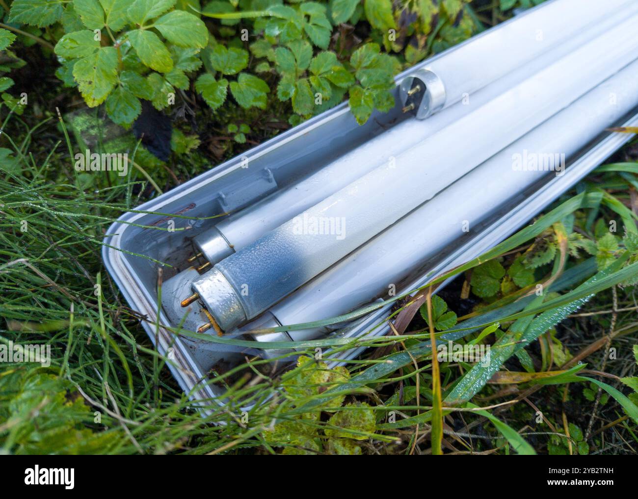 Old fluorescent tubes on grass waste disposal Stock Photo - Alamy