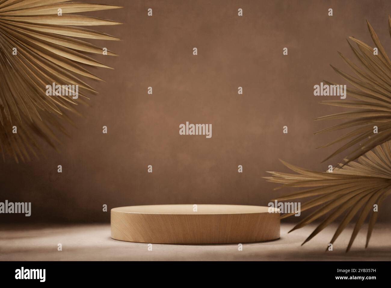 Natural wood podium with dry palm home decor n brown background ...