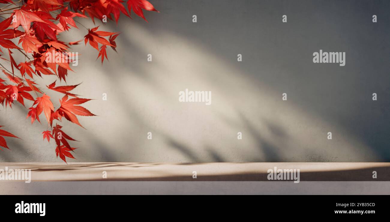 Holiday showroom hi-res stock photography and images - Alamy