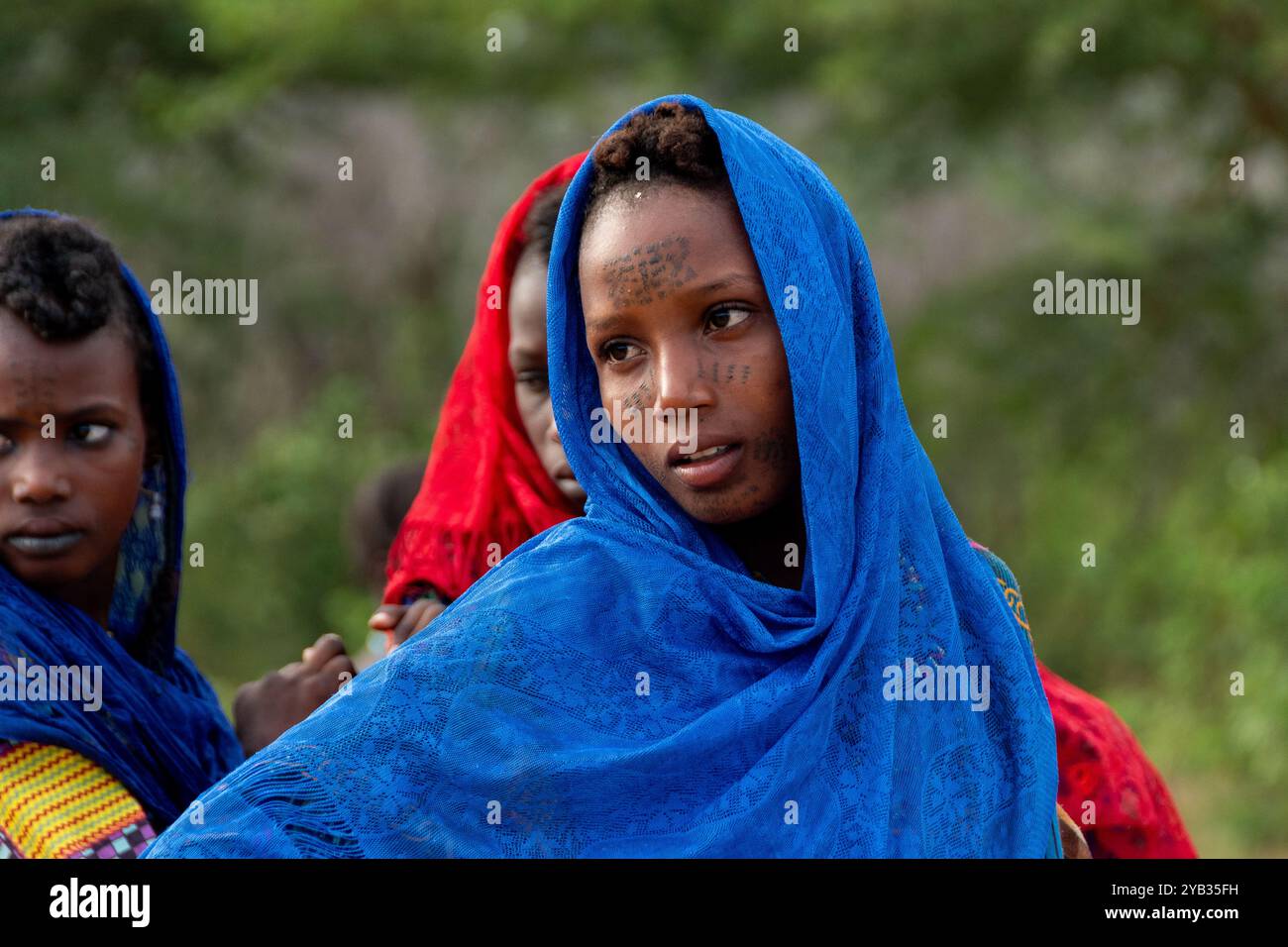 Wodaabe o Bororo, nómadas de Chad Stock Photo - Alamy