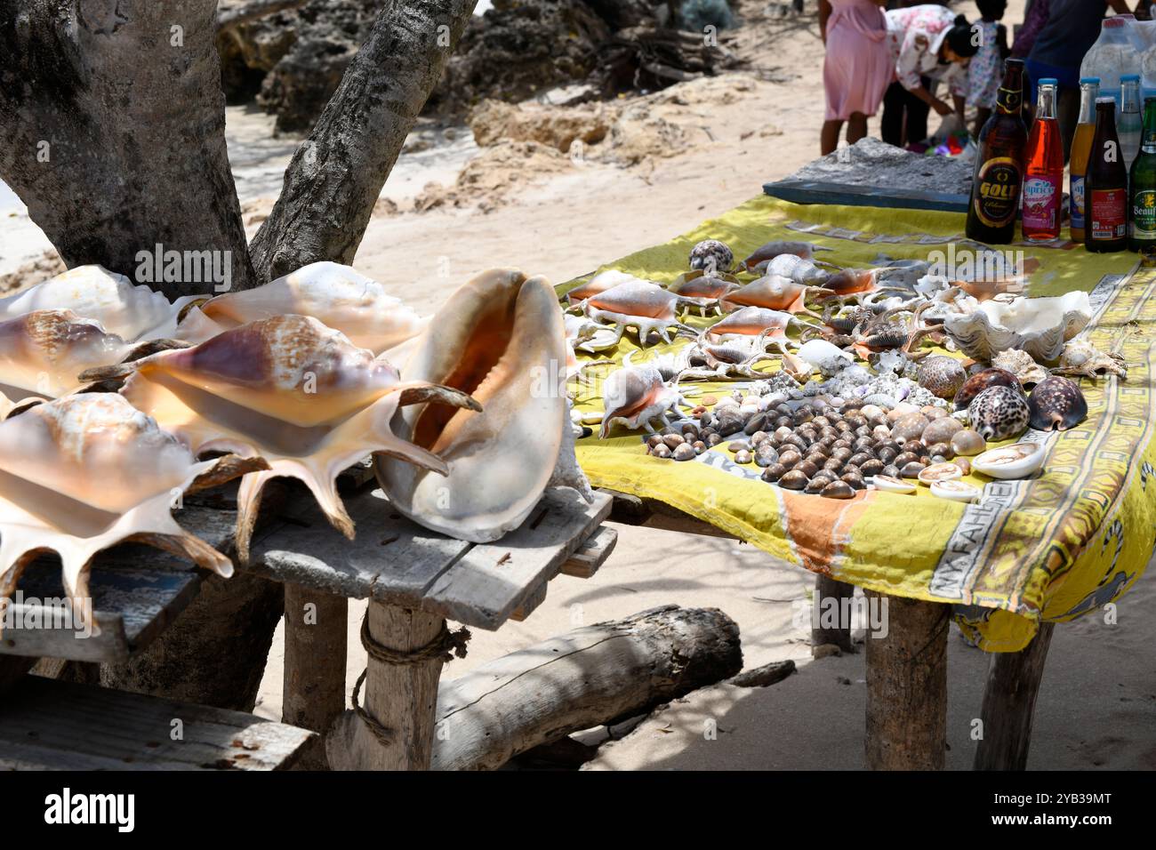 The Three Bays, coast near Antsiranana. Dune Bay, shells. Diana region ...