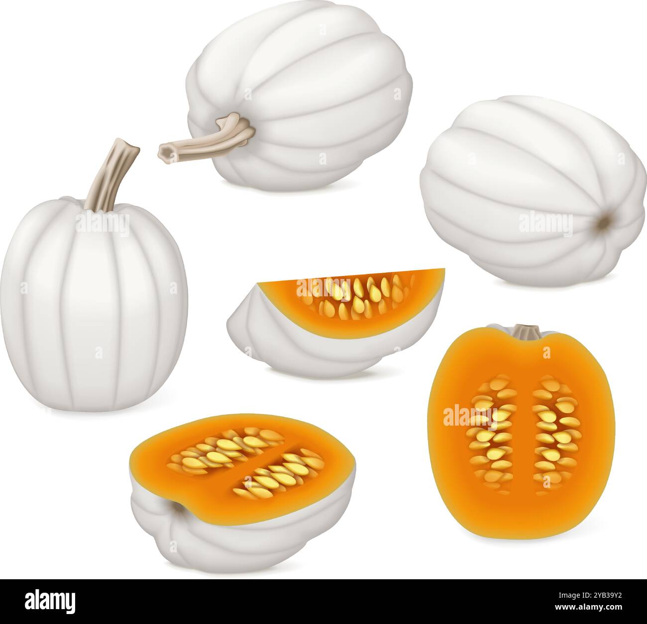 Clip art. Full Moon pumpkin. Winter squash. Cucurbita maxima. Fruits ...