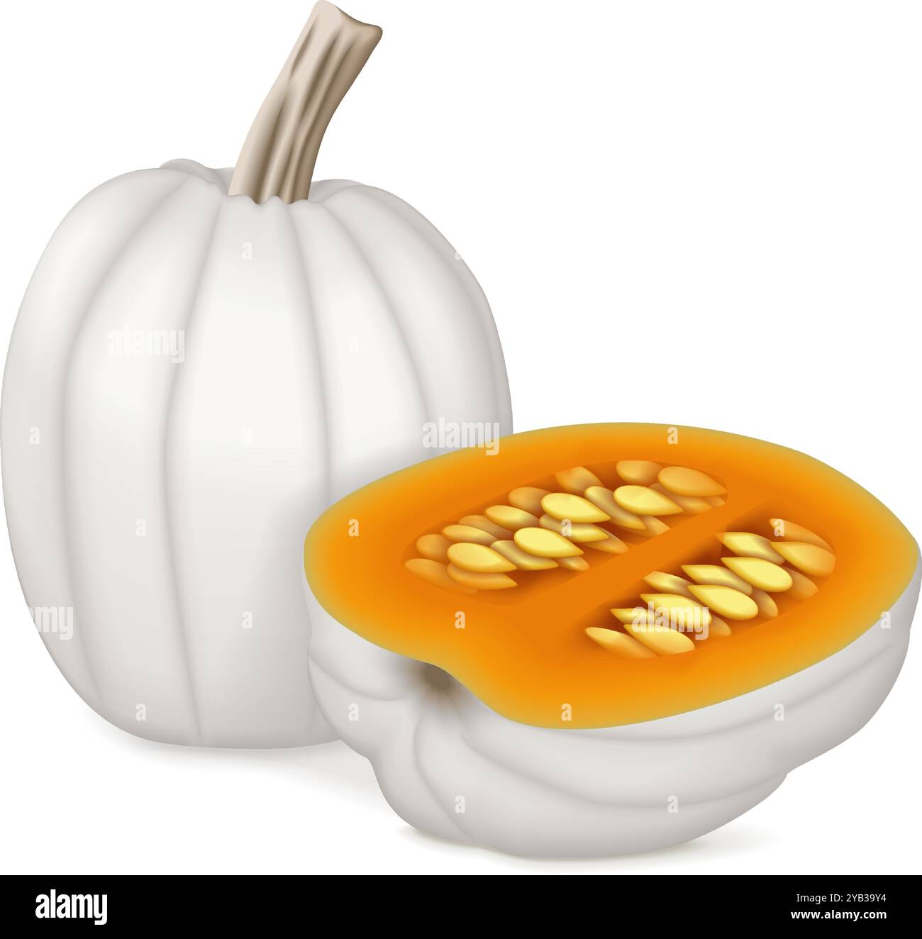 Whole and chopped Full Moon pumpkin. Winter squash. Cucurbita maxima ...