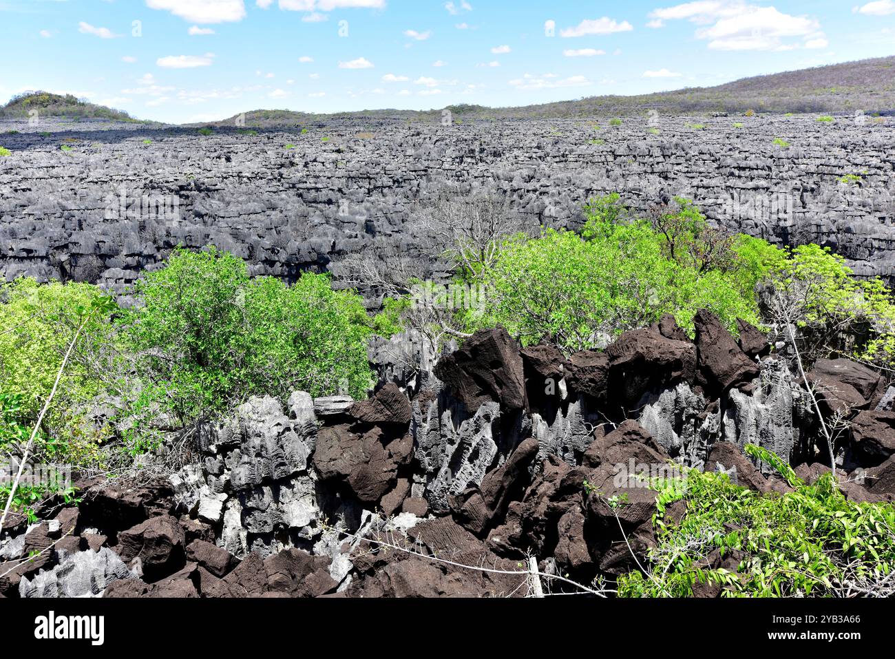 Ankarana Special Reserve is a karst topography formed in Jurassic ...