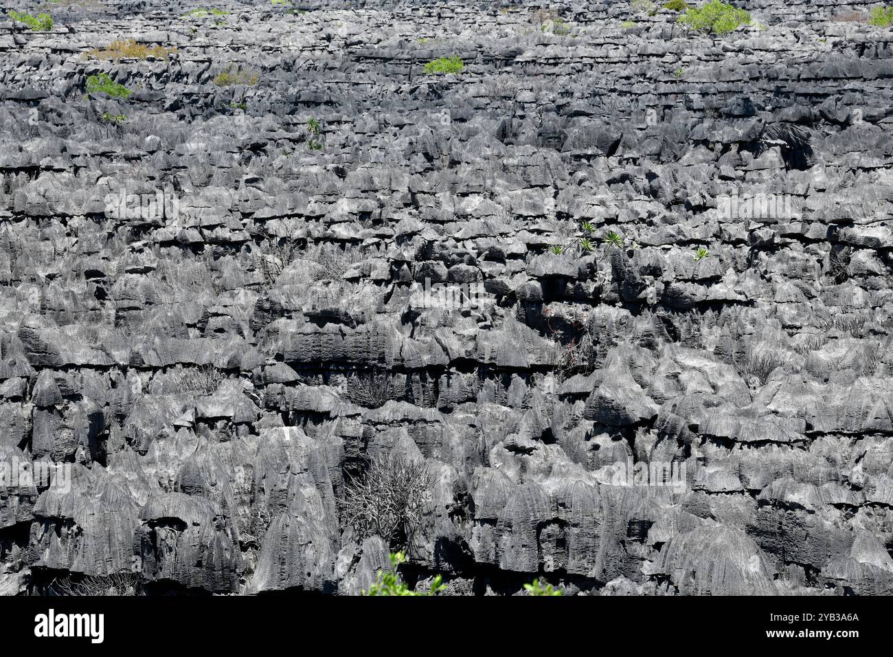 Ankarana Special Reserve is a karst topography formed in Jurassic ...