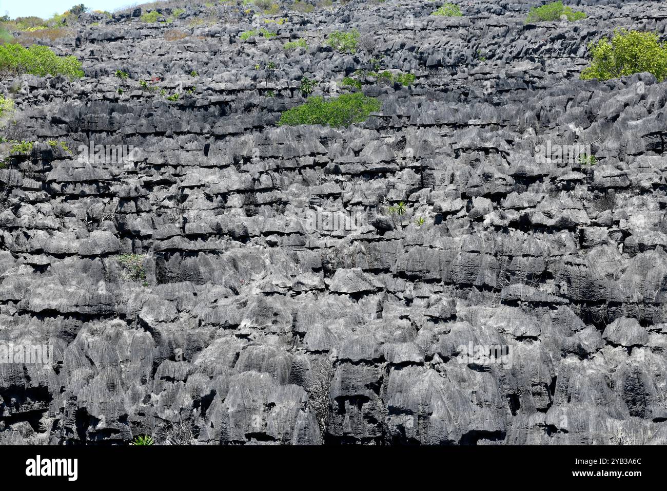 Ankarana Special Reserve is a karst topography formed in Jurassic ...