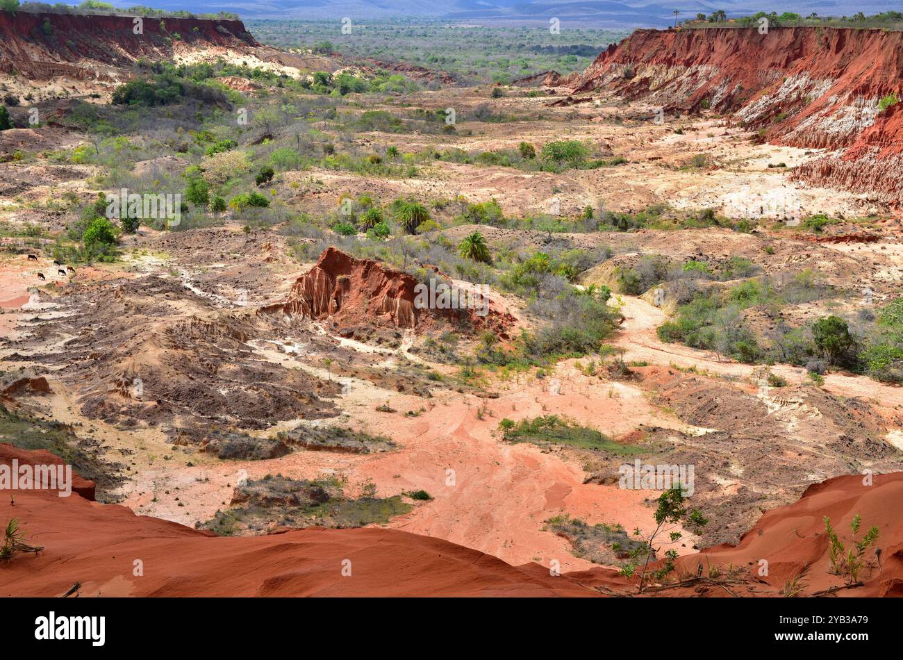 Tsingy Rouge (Red Tsingy) is an eroded laterite formation in Irodo ...