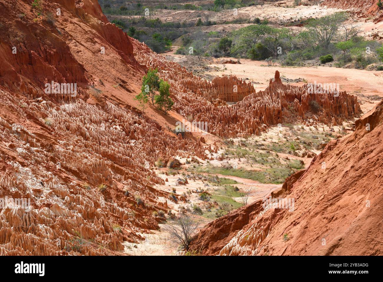 Tsingy Rouge (Red Tsingy) is an eroded laterite formation in Irodo ...